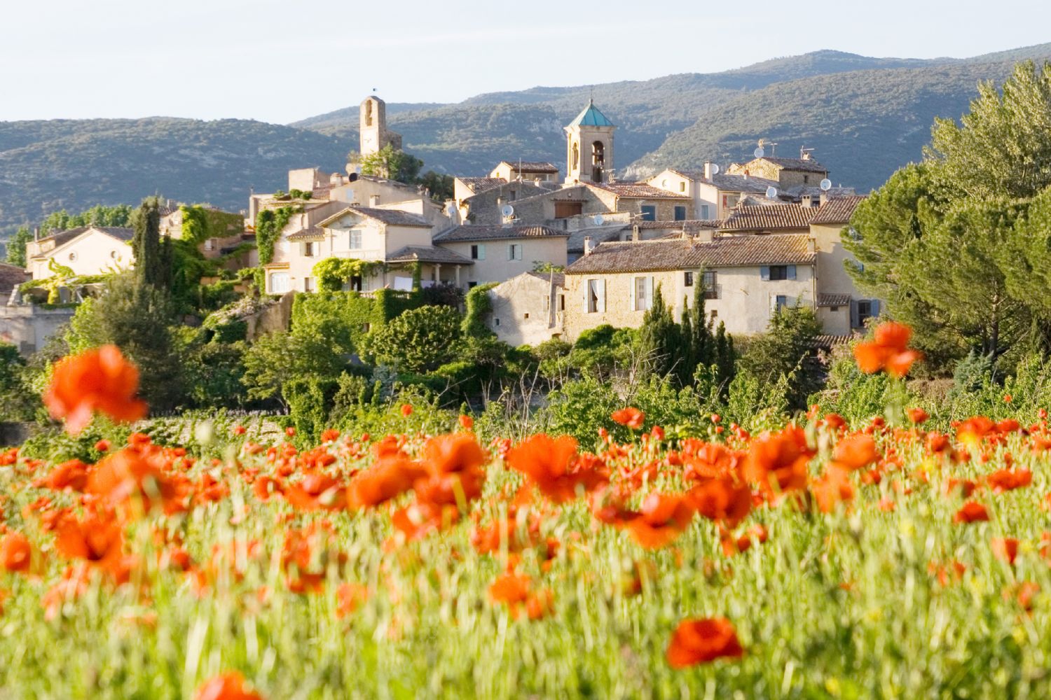 Le diamant noir de Provence. Le Luberon à l’époque des truffes