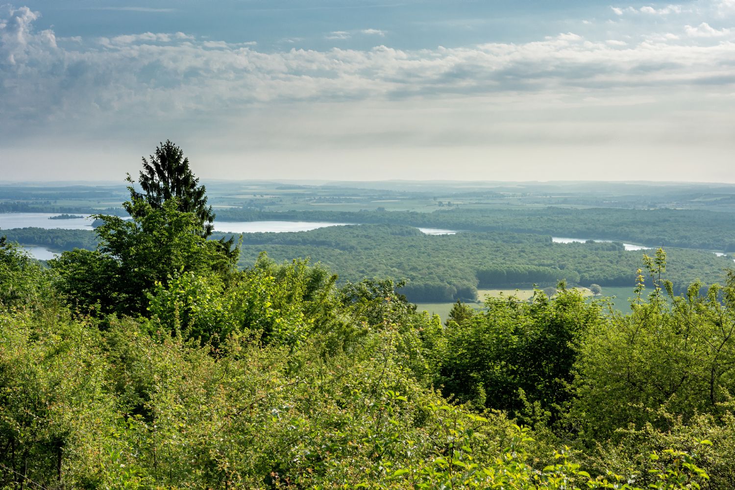 Le lac de Madine et la fabrique Petitcollin.